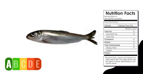 Herring Nutrition Facts Calories And Top 13 Health Benefits