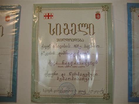 ბელა ნავდარაშვილის პორტფოლიო სერტიფიკატები სიგელები ცნობა სერტიფიკატები