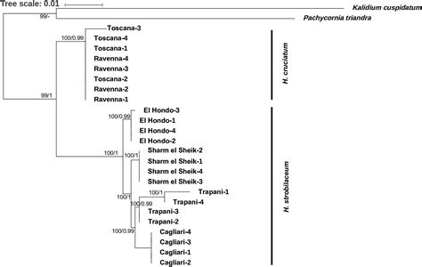 Environmental Predictors Of Seed Germination In Two Halocnemum Species