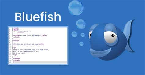 Best Code Editor Solutions For Every Developer In The Ultimate Guide Pushpendra Net