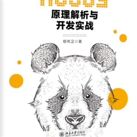 netty原理解析与开发实战 百度百科