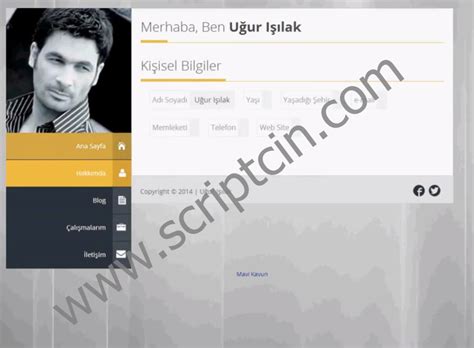 Mavi Kovun Kişisel Blog Scripti Script Hocasi