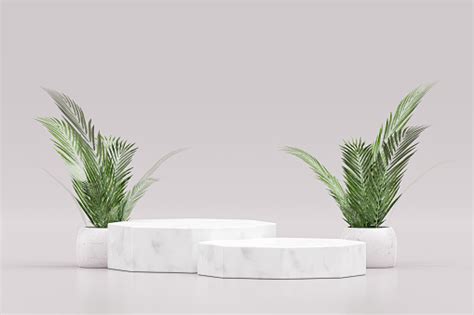 식물 자연 받침대 무대 제품 디스플레이 배경이 있는 대리석 연단 3d 그림 빈 디스플레이 쇼룸 프레젠테이션 제품 배치 연단에
