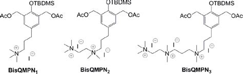 Figure 13 From Development Of Bifunctional Alkylating Agents For