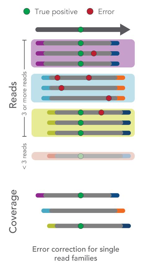 Cfdna And Ffpe Dna Library Prep Kit Idt