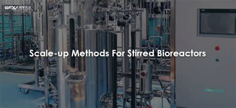 Scale Up Methods For Stirred Bioreactors Professional Bioreactor Fermenter Manufacturer And