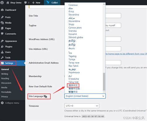 使用wordpress快速搭建外贸网站教程 wordpress外贸建站教程 csdn博客