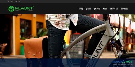 Flaunt Ebikes Electric Bicycles And Scooters