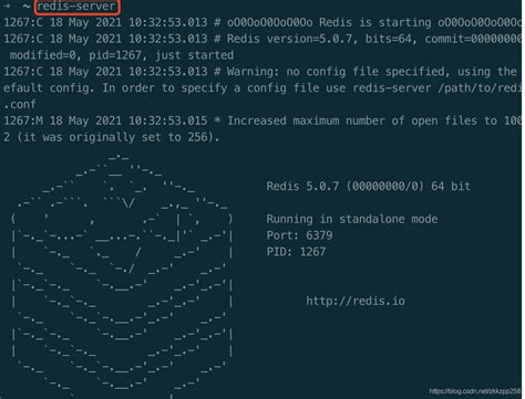 Redis实现排行榜、延迟队列、lru、消息已读未读（redisson客户端实现）jedis实现列表已读未读红点状态 Csdn博客
