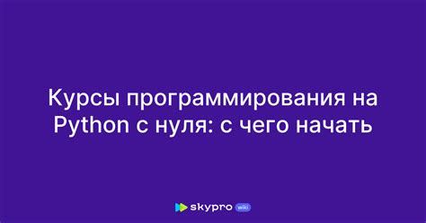 Курсы программирования на Python с нуля с чего начать