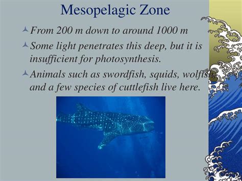 Ppt Open Ocean Powerpoint Presentation Free Download Id 1266916