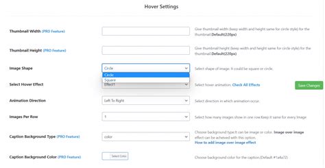 How To Add Image Hover Effects In WordPress Step By Step