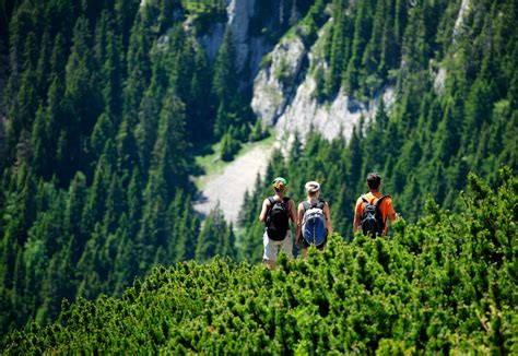 A Traveller S Guide To Carbon Offsetting Hostelworld Travel Blog