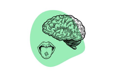 What Does Lsd Do To Your Brain Tripsitter