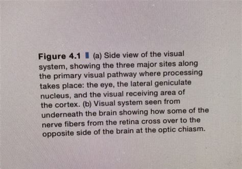 Solved Describe The Flow Of Information In The Following Chegg Com