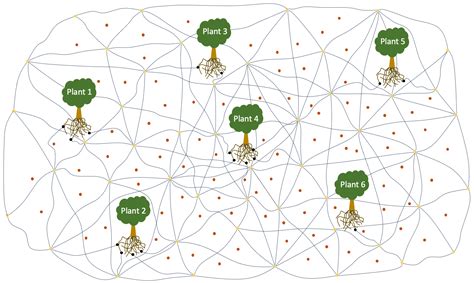 Smart Farm Security By Combining Iot Sensor Network And Virtualized