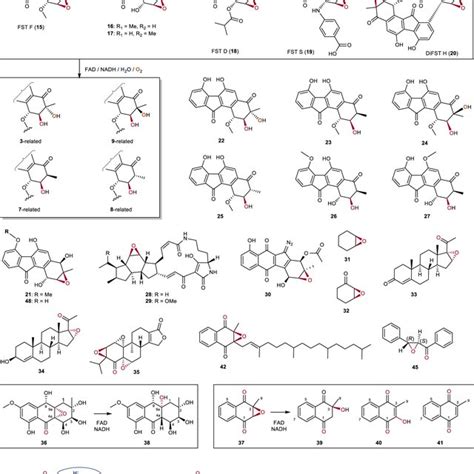 Representative Epoxide Ring Opening Reactions A Nonenzymatic Epoxide