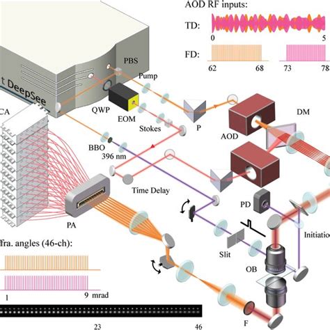 Schematic Of The Comb‐srs Microscope Upper‐right Inset Rf Waveform Download Scientific