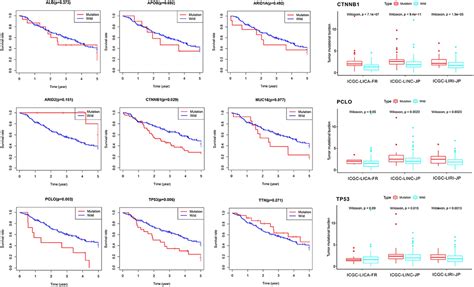 Frontiers An Integrative Analysis Reveals The Underlying Association