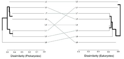 Dissimilarity Analysis Dissimilarity Analysis For Prokaryotic And