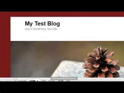How To Use Firebug To Modify Your WordPress Site S CSS Part1 YouTube