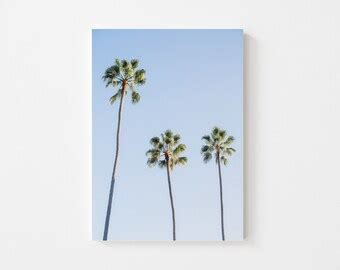 La Jolla Palm Tree Print San Diego Coastal Wall Art Etsy