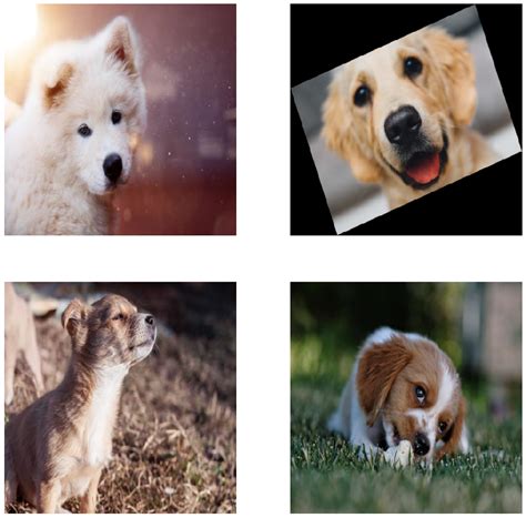 Conditional Execution In Dali — Nvidia Dali