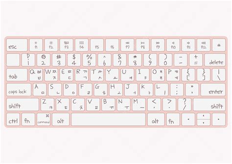 한글 한글 자판 배열 프리미엄 벡터