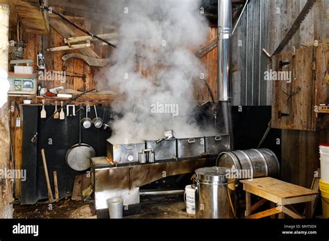A Maple Syrup Boiler Evaporating The Maple Sap To Make Maple Syrup Inside A Sugar Shack In
