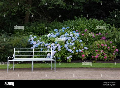 English Garden In Summer Stock Photo Alamy