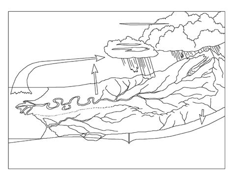 The Water Cycle 6th Grade Diagram Quizlet