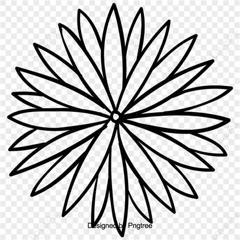 아름다운 만화 자유형 꽃미술약도 검은색 Png 일러스트 무료 다운로드 Lovepik