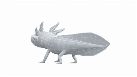 Axolotl Model Turbosquid 1875255