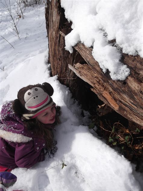 Hibernate Migrate And Adapt Irvine Nature Center