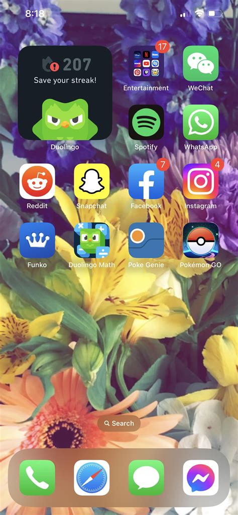 I Added The Duolingo Widget And Now Get Judged Extra Hard R Duolingomemes