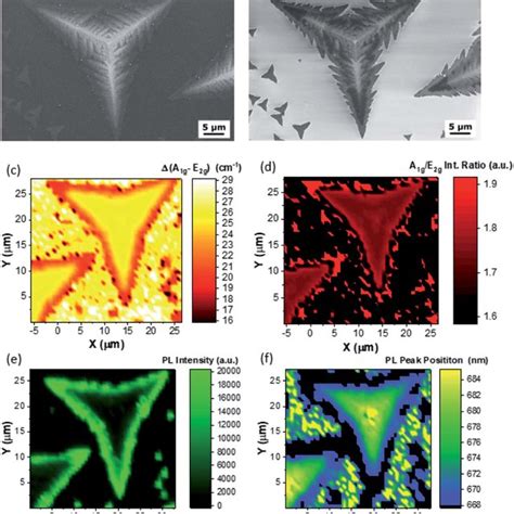 A Se Micrograph Of The Dendritic Structures Representative Of Z1 B