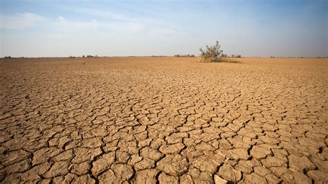 Effects Of Drought On Humans Who Warns Of El Niños Public Health