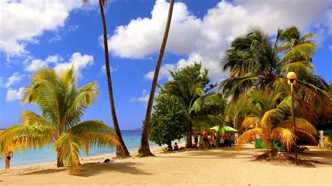 马提尼克岛 海滩 加勒比海 Pixabay上的免费照片 Pixabay