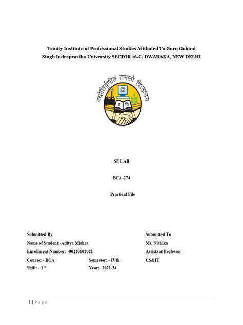 Se Lab Aditya Mishra Pdf