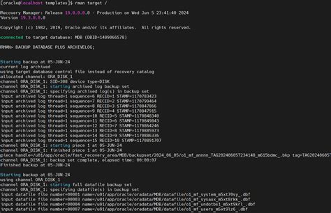 Backup Cdb Container Database And Pdb Pluggable Database Datalinksvn