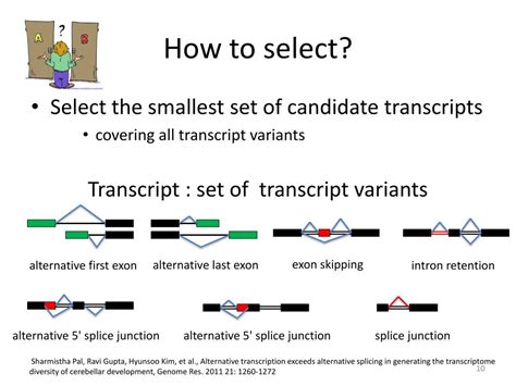 PPT Transcriptome Assembly And Quantification From Ion Torrent RNA Seq Data PowerPoint