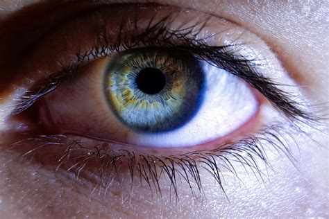 Understanding Myokymia: Eye Twitching and Its Causes