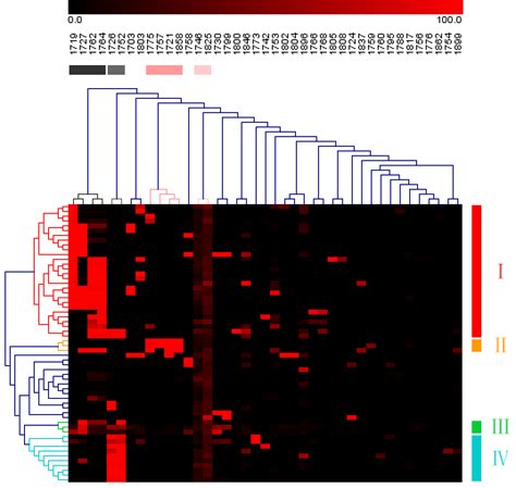 Figure S3 Combination Patterns Of Bcp And Pc Mutations Four Types Of Download Scientific Diagram