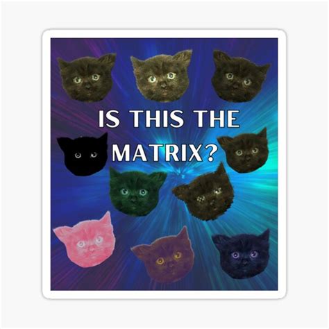 Shadow Cat In Matrix Space Cats Trippy Kitty Sticker By Fatcatmouse Redbubble