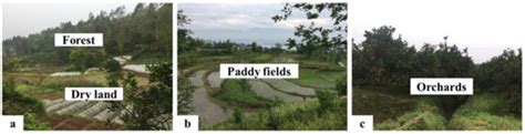 The Role Of Paddy Fields In The Sediment Of A Small Agricultural Catchment In The Three Gorges