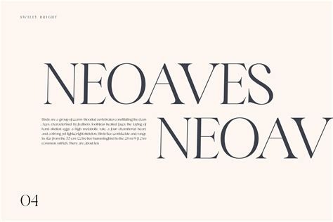 Swily Bright Classy Font Design Cuts