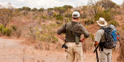 Top 10 Wildlife Conservation Jobs Gvi