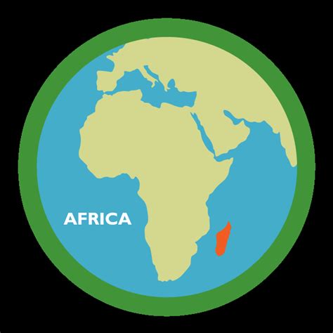 Madagascar Hissing Cockroach Phoenix Zoo