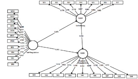 pls path model with factor loadings path coefficient and coefficient