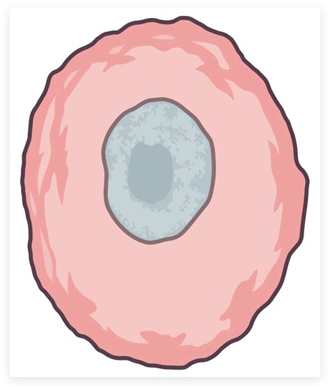 Ai科研绘图 肿瘤免疫治疗2 搜狐大视野 搜狐新闻